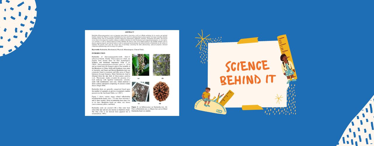 Understanding the Science Behind Rudraksha Beads: How Do They Work ...