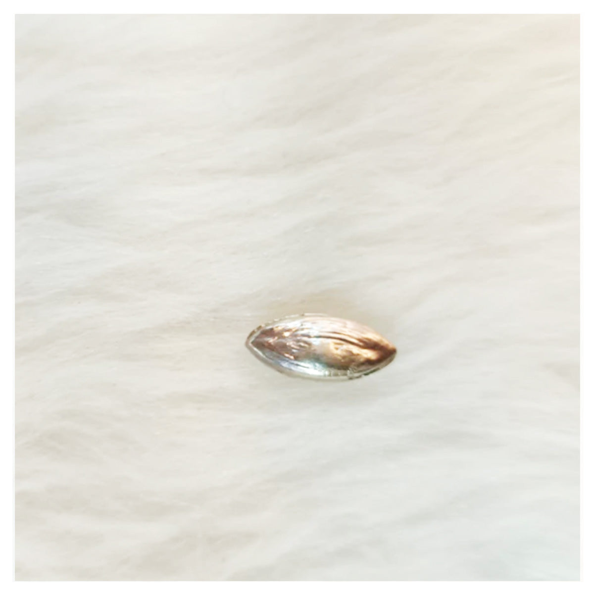 Cardamom In Pure Silver for Puja, silver dry fruit, silver Elaichi for ...