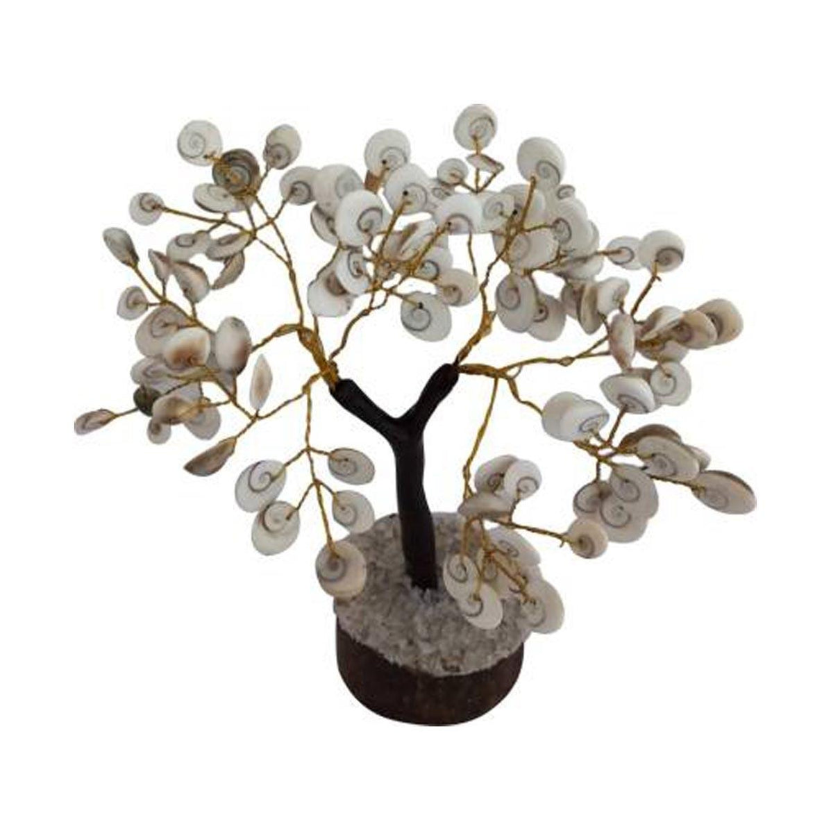 Natural Gomati Chakra Tree | Rudraksha Mart